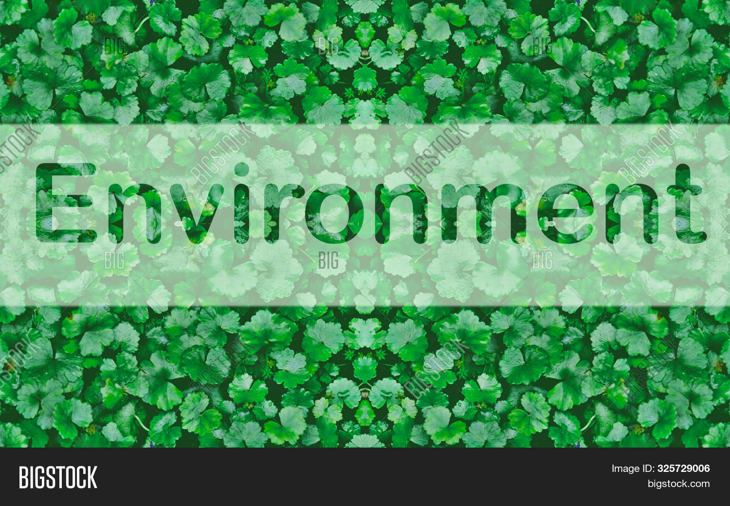Word Environment Over Image & Photo (Free Trial) | Bigstock