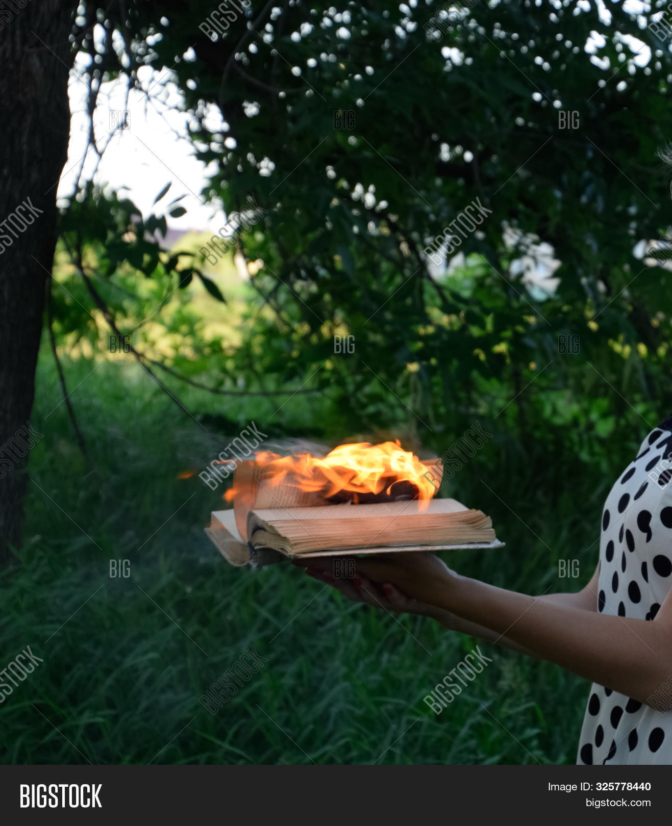 Burning Book Hands. Image & Photo (Free Trial) | Bigstock