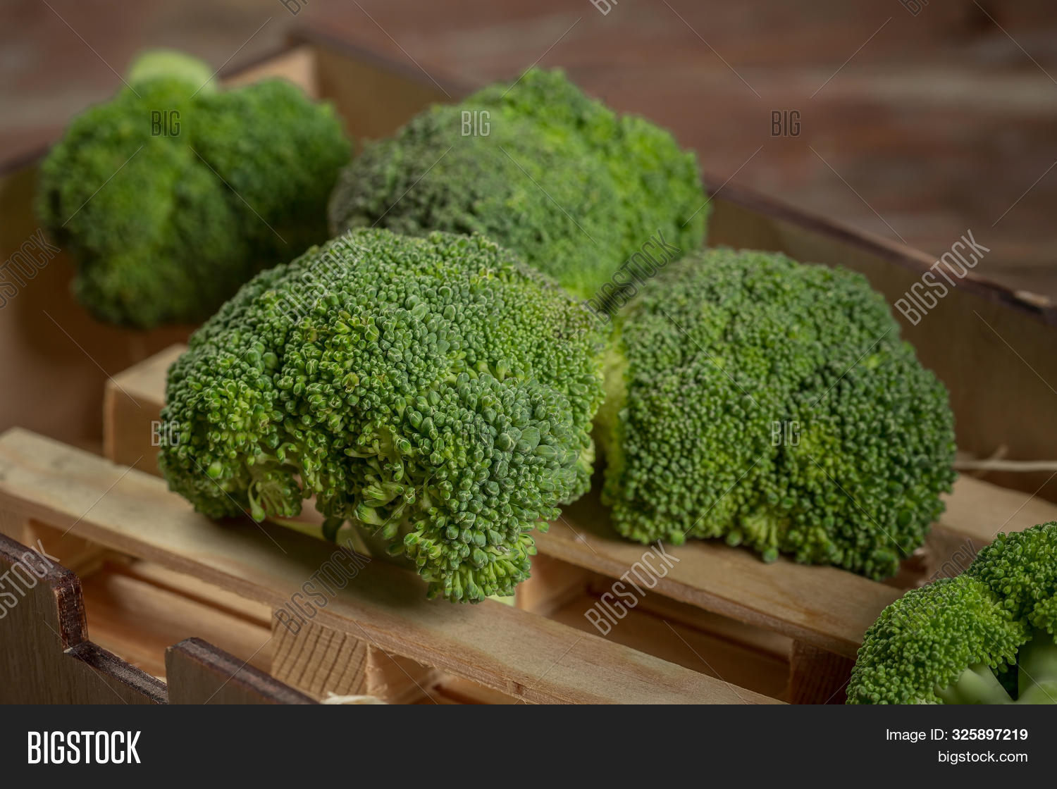 Macro Photo Green Image & Photo (Free Trial) | Bigstock