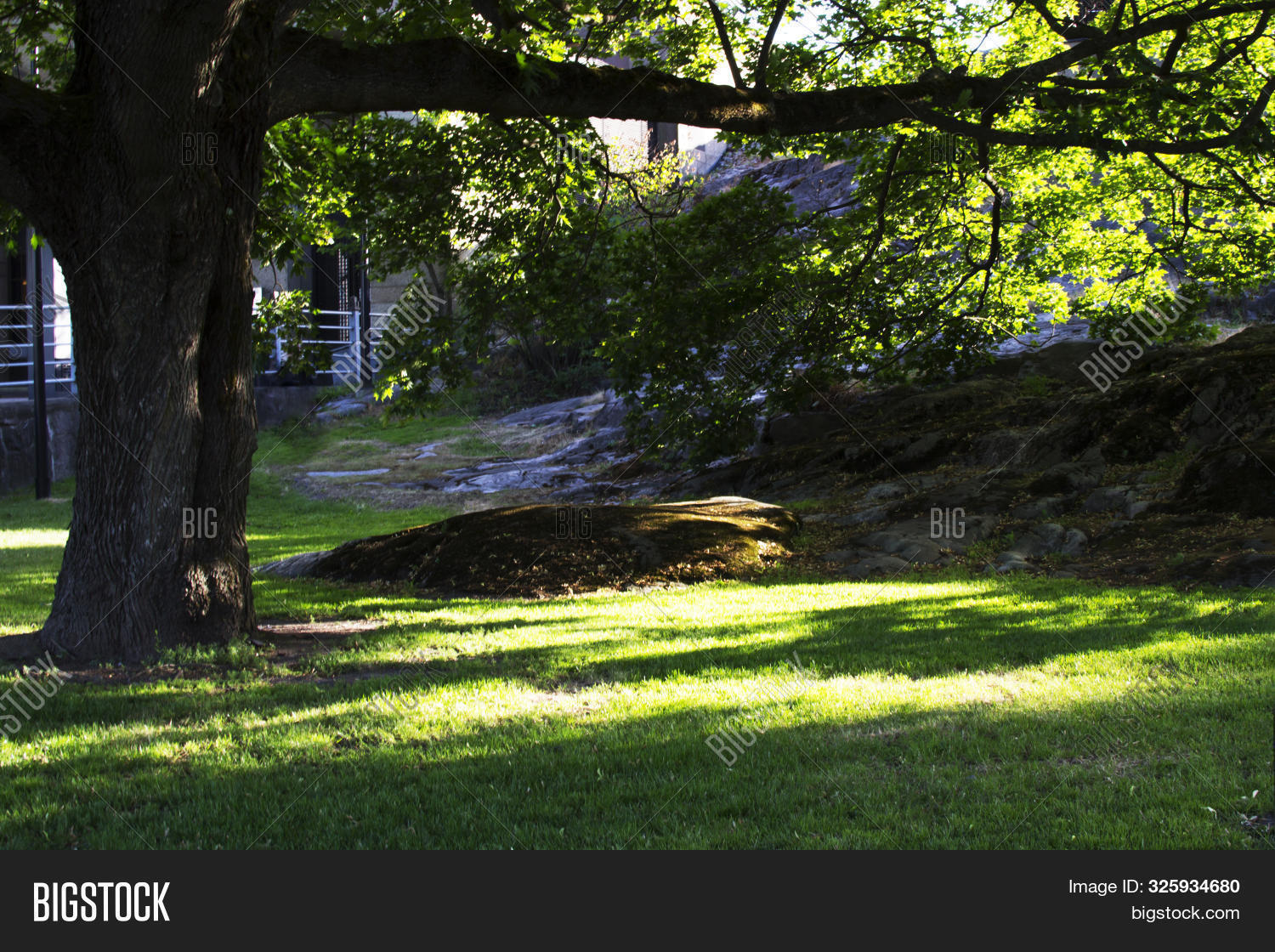 Green Tree City Park Image & Photo (Free Trial) | Bigstock