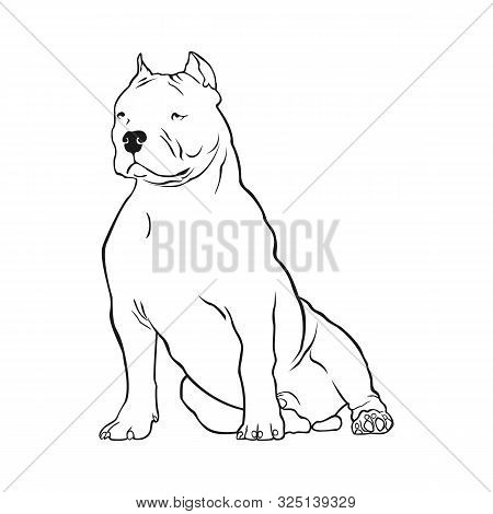 American Bully Vector Vector & Photo (Free Trial) | Bigstock