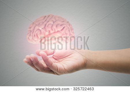 Man Holding Brain Image & Photo (Free Trial) | Bigstock