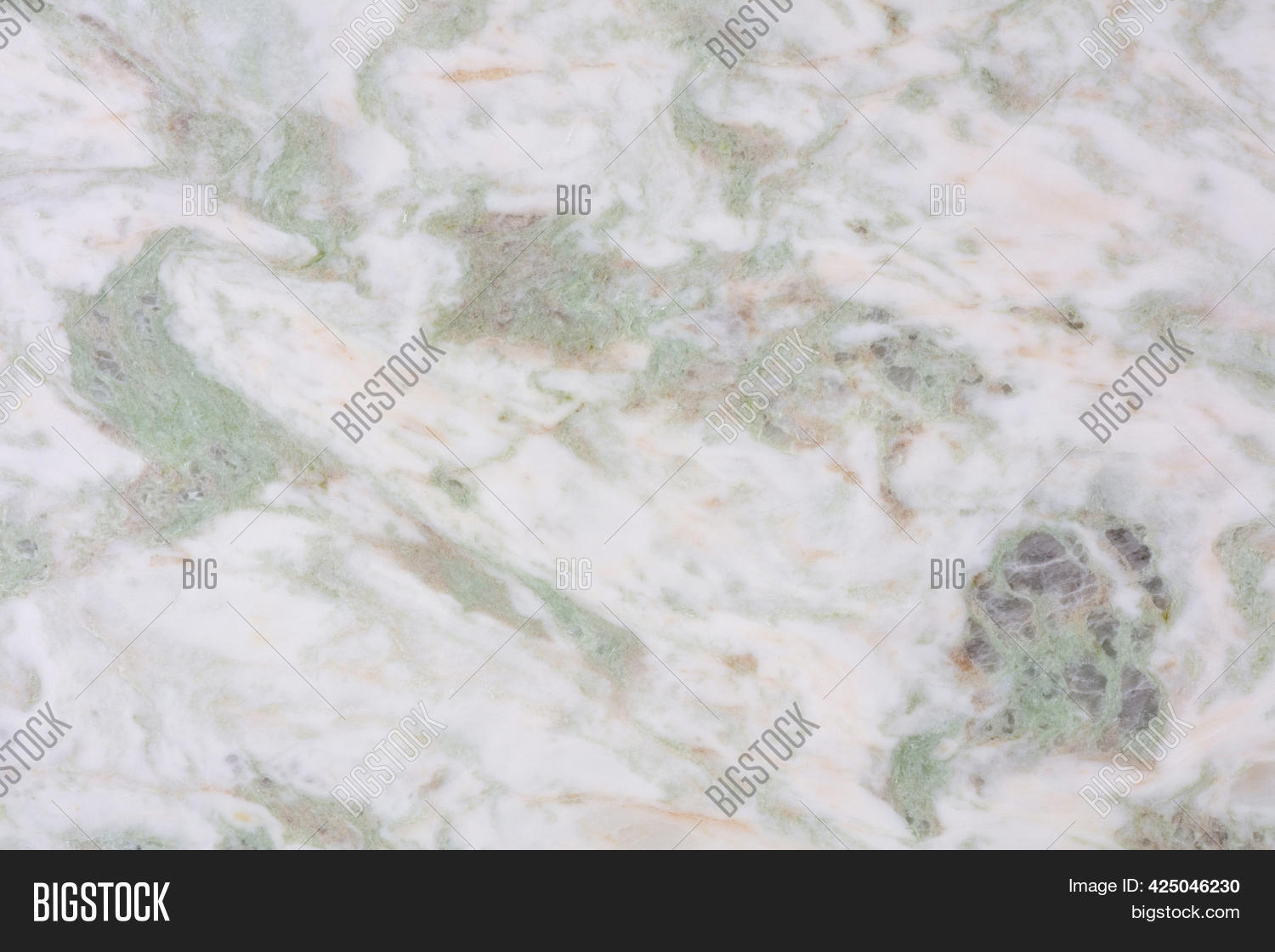 Excellent Lady Onyx - Image & Photo (Free Trial) | Bigstock