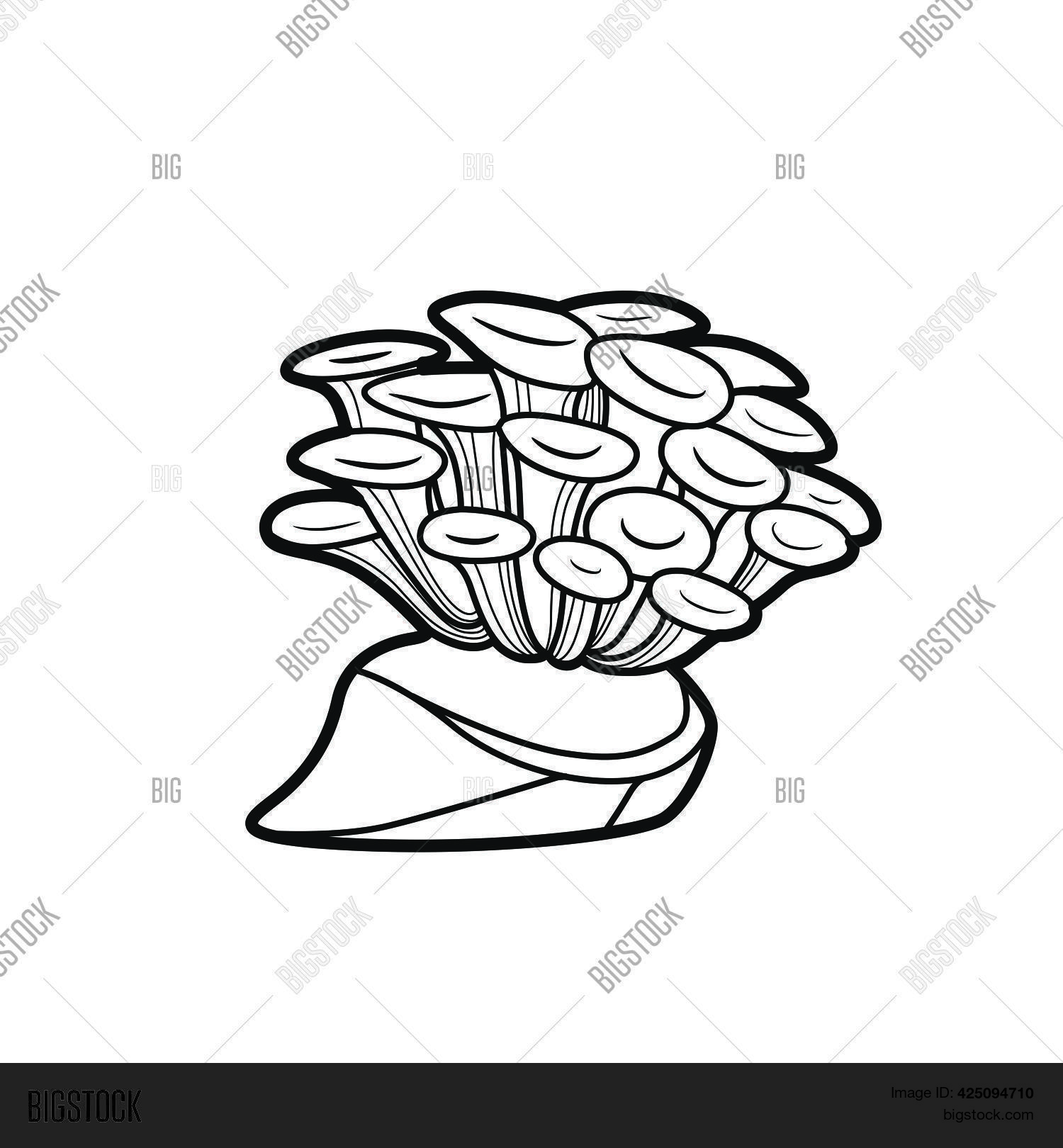 Coral Polyp Coloring Vector & Photo (Free Trial) | Bigstock