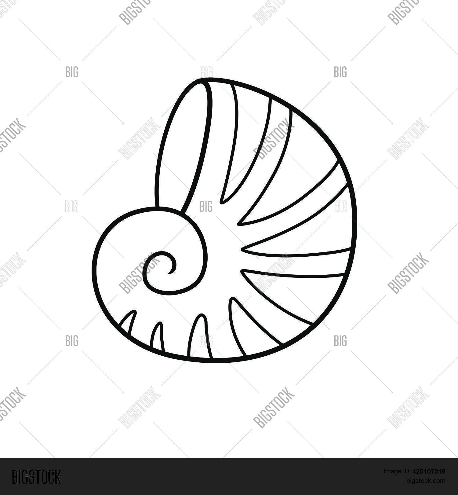 Nautilus Shell Vector & Photo (Free Trial) | Bigstock