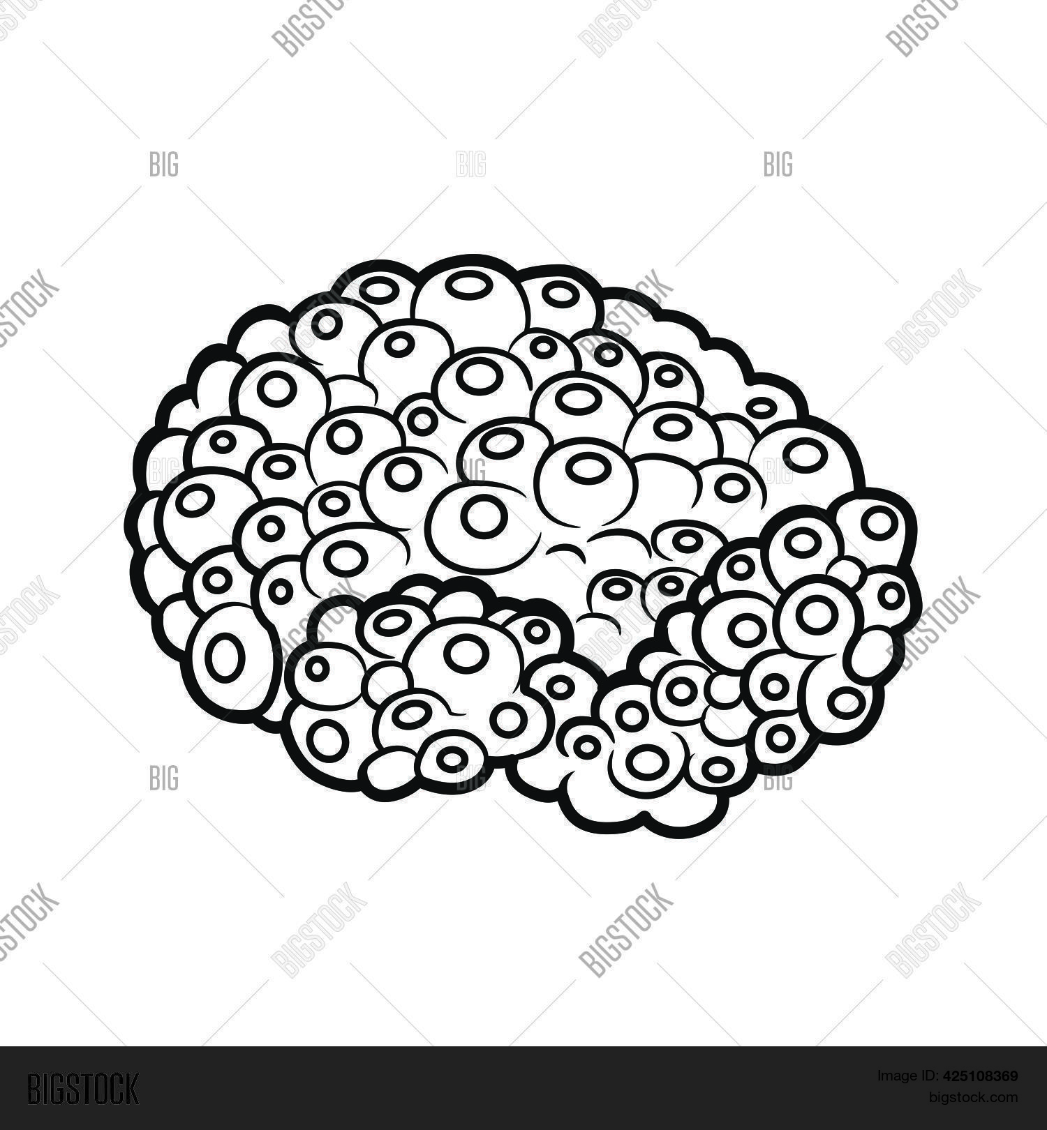 Round Coral Coloring Vector & Photo (Free Trial) | Bigstock