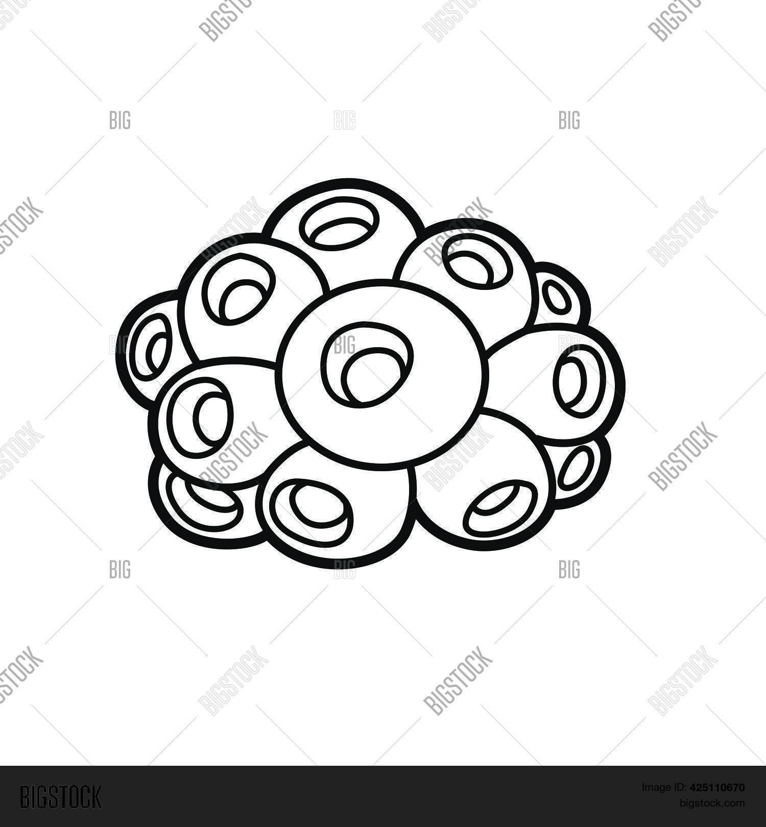 Sea Round Sponge Vector & Photo (Free Trial) | Bigstock