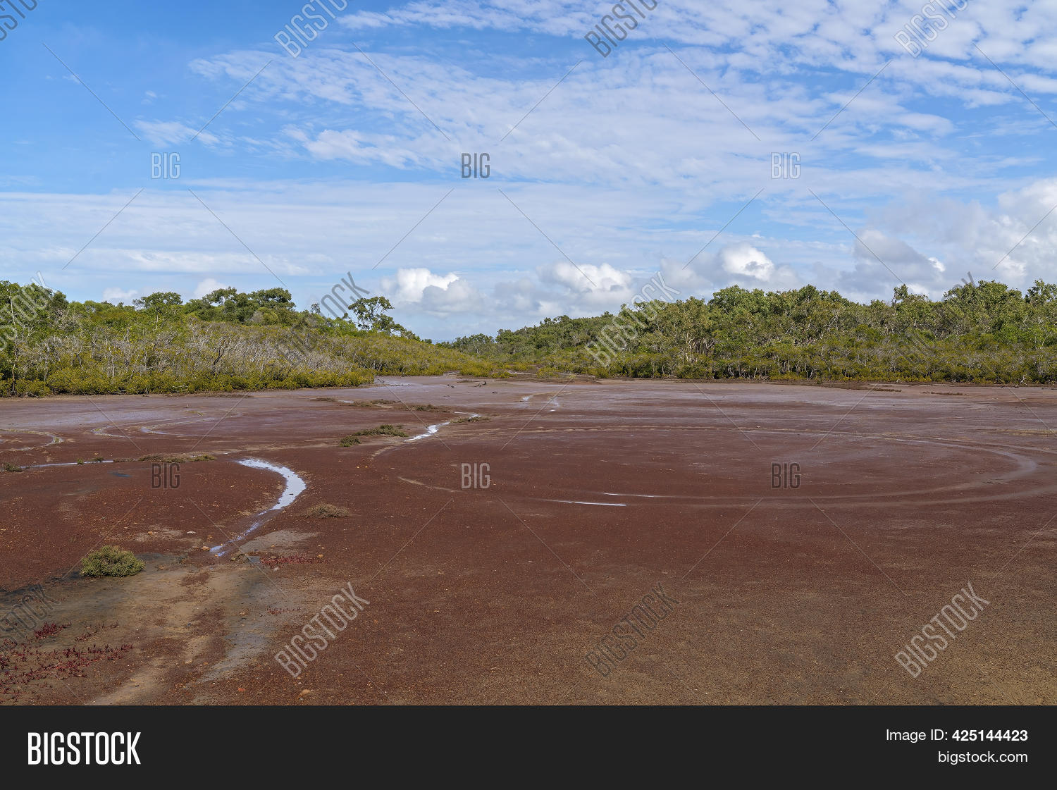 Muddy Bed Salt Flats Image & Photo (Free Trial) | Bigstock