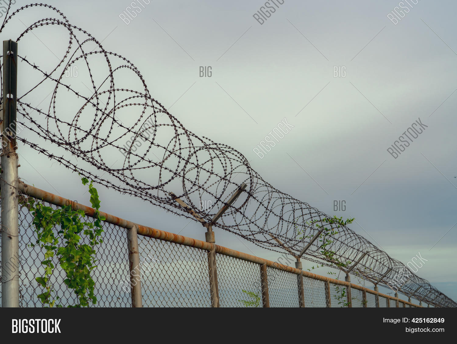 Prison Security Fence Image & Photo (Free Trial) | Bigstock