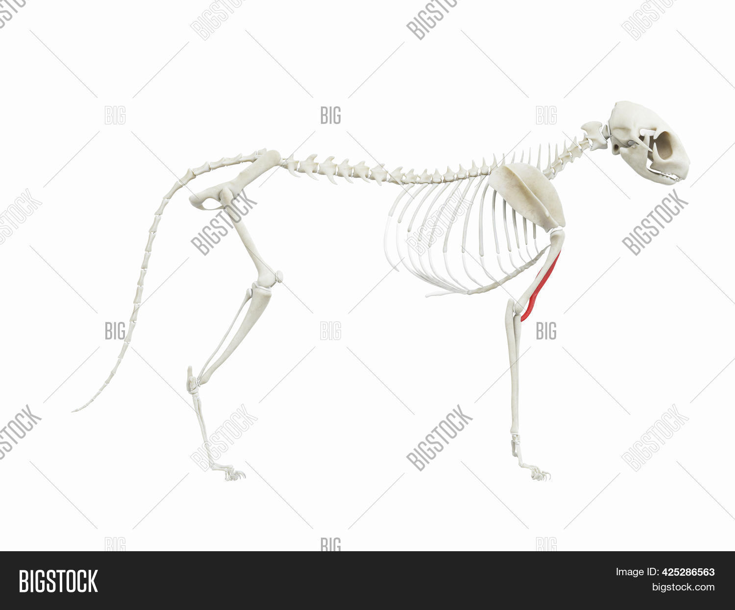 3d Rendered Image & Photo (Free Trial) | Bigstock