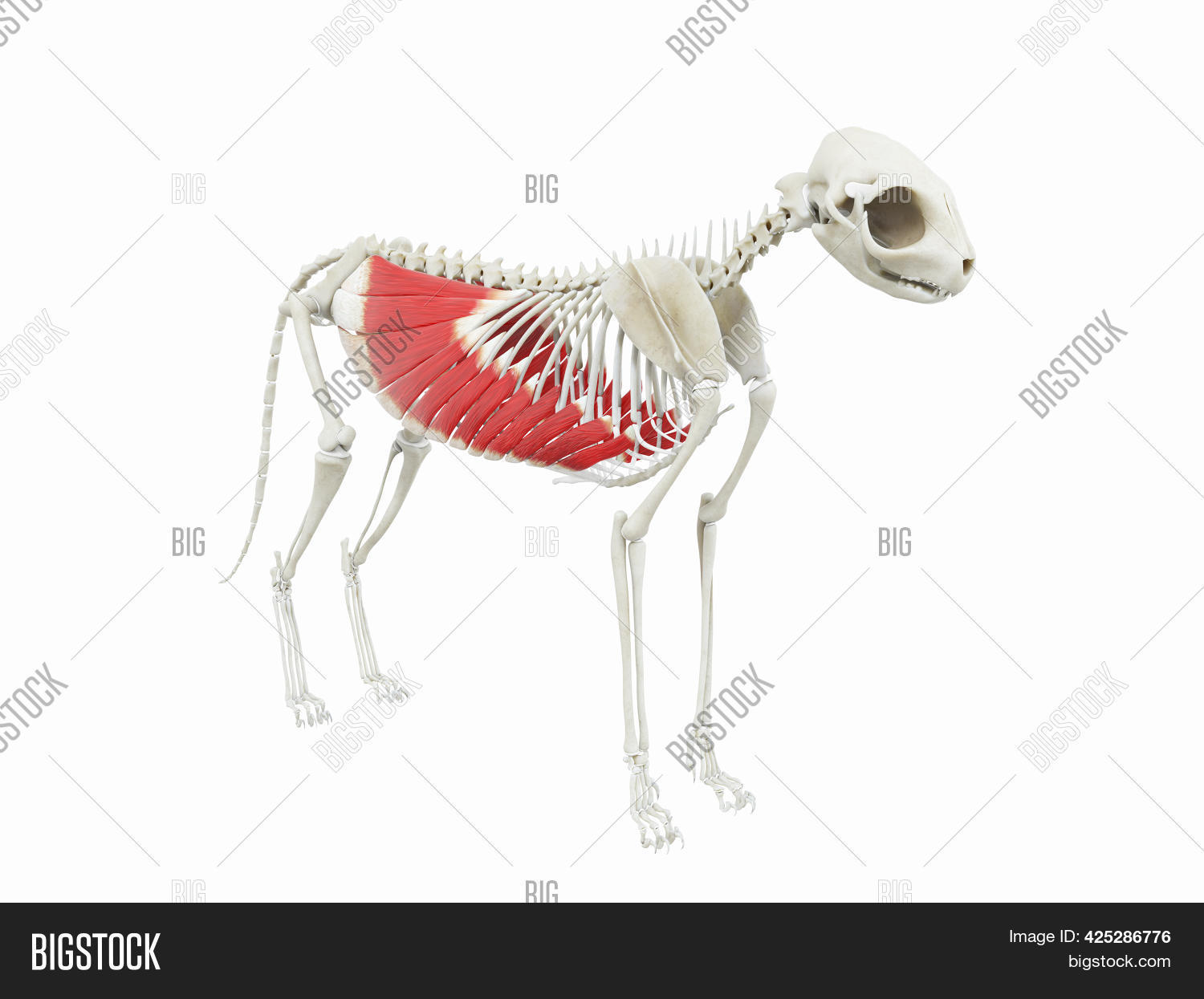 3d Rendered Image & Photo (Free Trial) | Bigstock