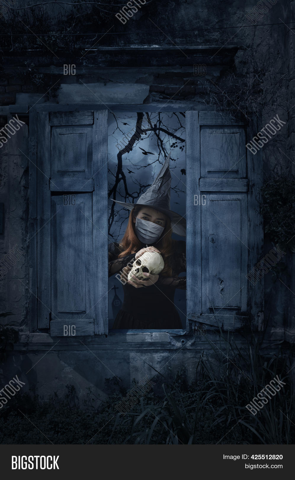 Halloween Witch Image & Photo (Free Trial) | Bigstock