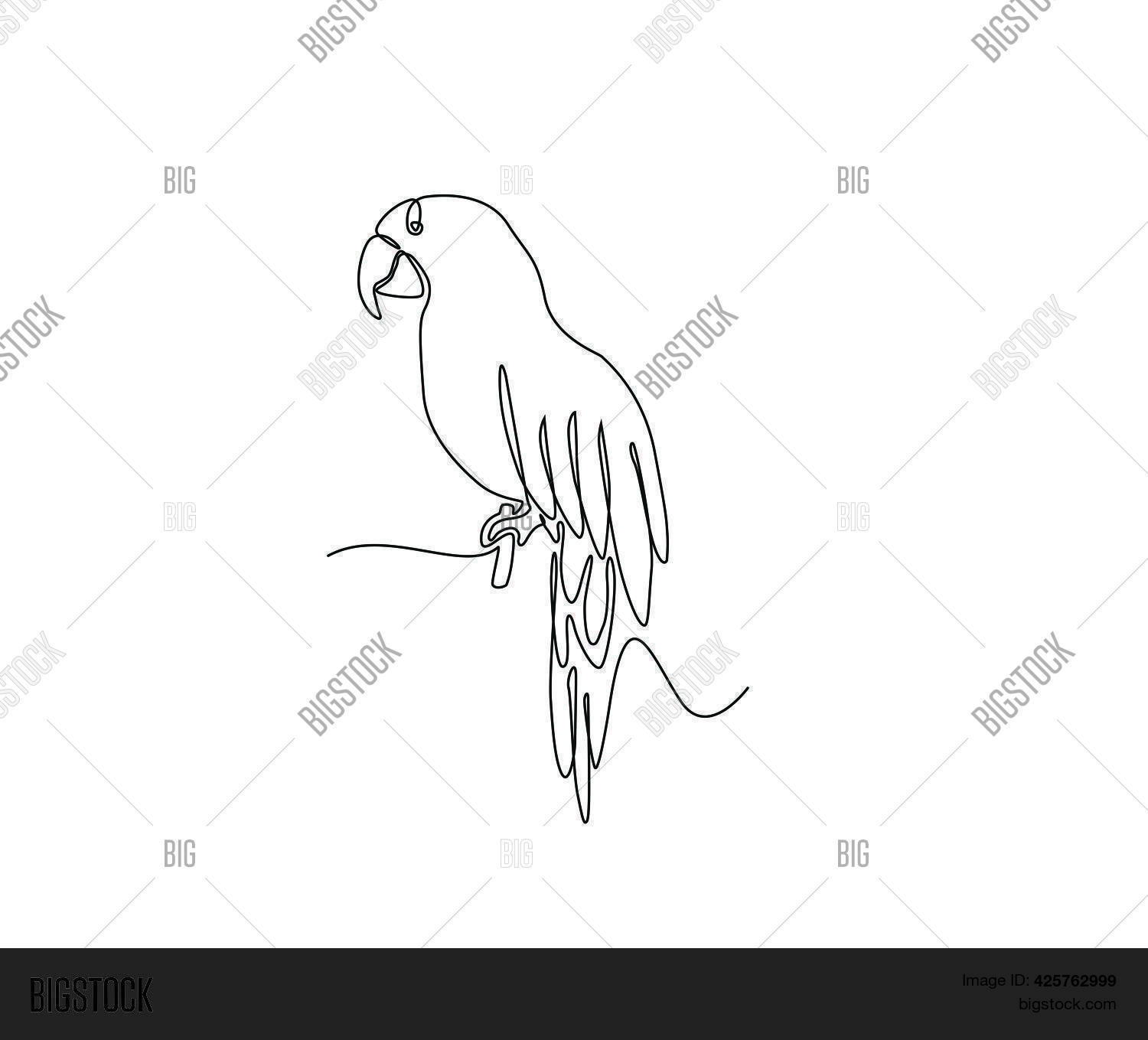 Parrot Continuous Vector & Photo (Free Trial) | Bigstock