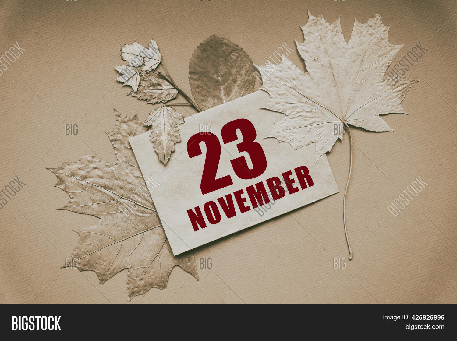 November 23. 23th Day Image & Photo (Free Trial) | Bigstock