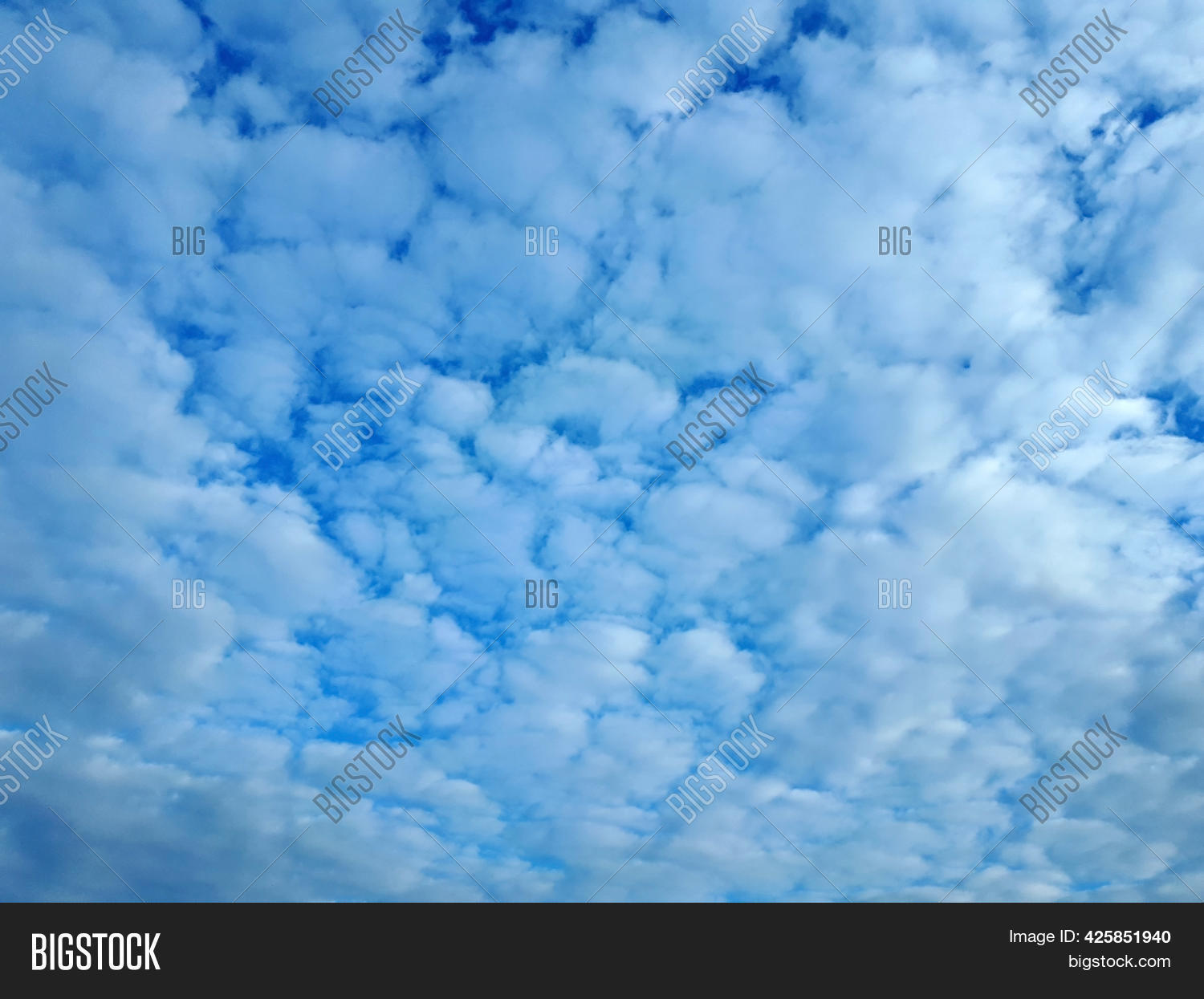 Unusual Frequent Image & Photo (Free Trial) | Bigstock