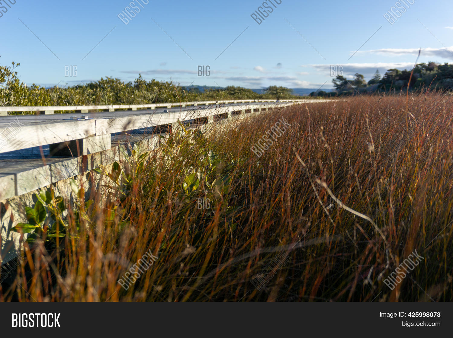 Estuarine Environment Image & Photo (Free Trial) | Bigstock