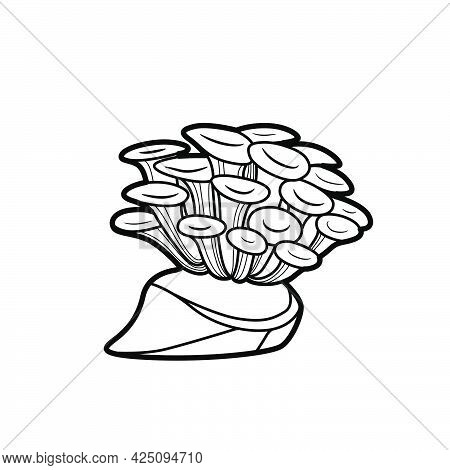 Coral Polyp Coloring Vector & Photo (Free Trial) | Bigstock