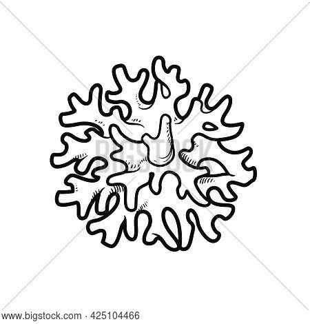 Decorative Round Vector & Photo (Free Trial) | Bigstock