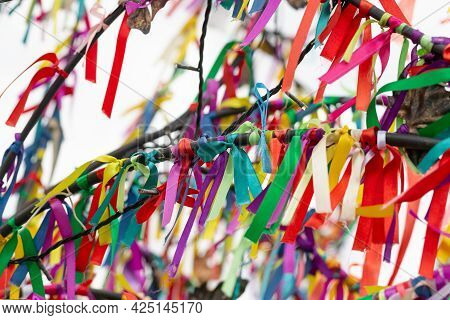 Wish Tree Branches Image & Photo (Free Trial) | Bigstock