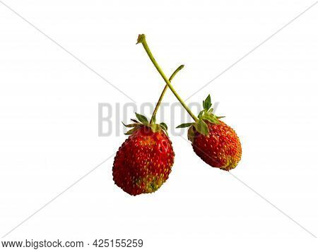 Isolated On White Image & Photo (Free Trial) | Bigstock