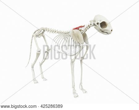 3d Rendered Image & Photo (Free Trial) | Bigstock