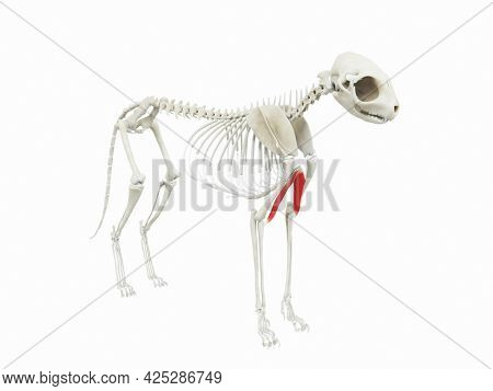 3d Rendered Image & Photo (Free Trial) | Bigstock