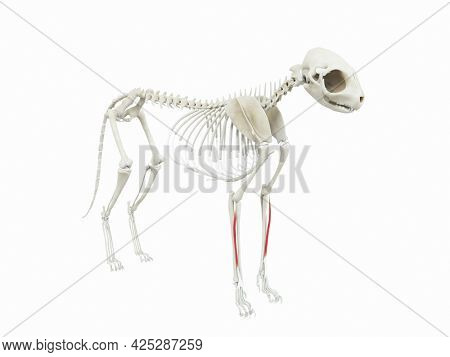 3d Rendered Image & Photo (Free Trial) | Bigstock