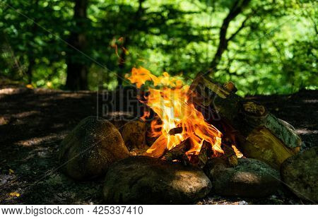 Campfire Logs Nature. Image & Photo (Free Trial) | Bigstock