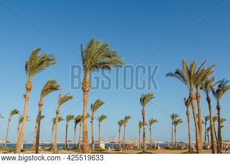 Sharm El Sheikh, Egypt Image & Photo (Free Trial) | Bigstock