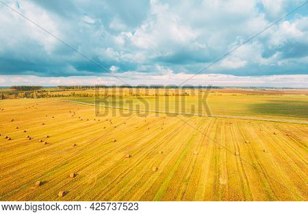 Hay Field Images, Illustrations & Vectors (Free) - Bigstock
