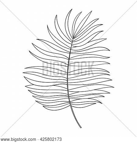 Palm Outline Vector Vector & Photo (Free Trial) | Bigstock