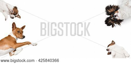 Art Collage Made Funny Image & Photo (Free Trial) | Bigstock