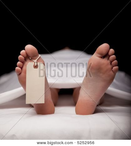 Toe Tag Images, Illustrations & Vectors (Free) - Bigstock