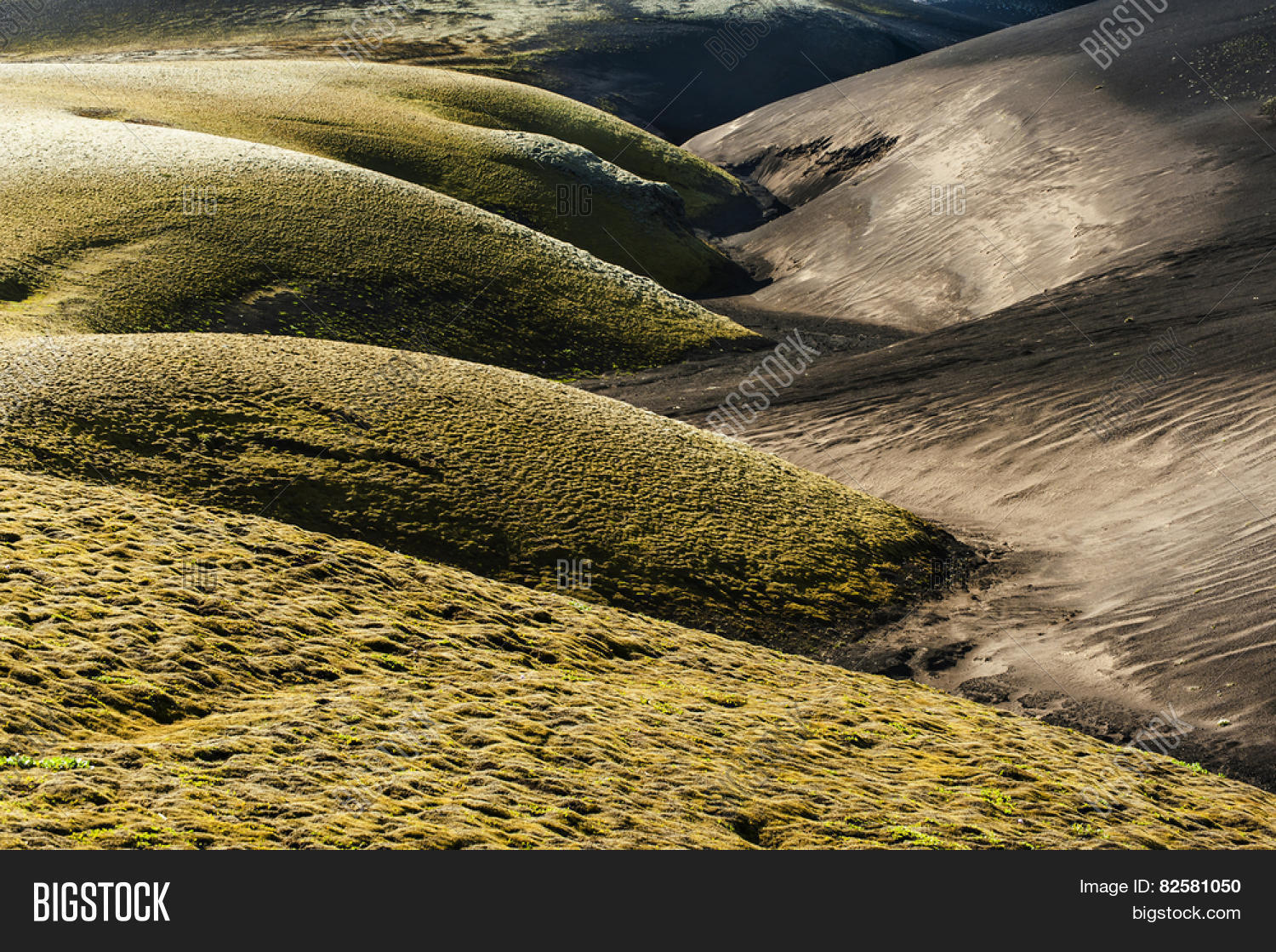 Beautiful Renaissance Image & Photo (Free Trial) | Bigstock