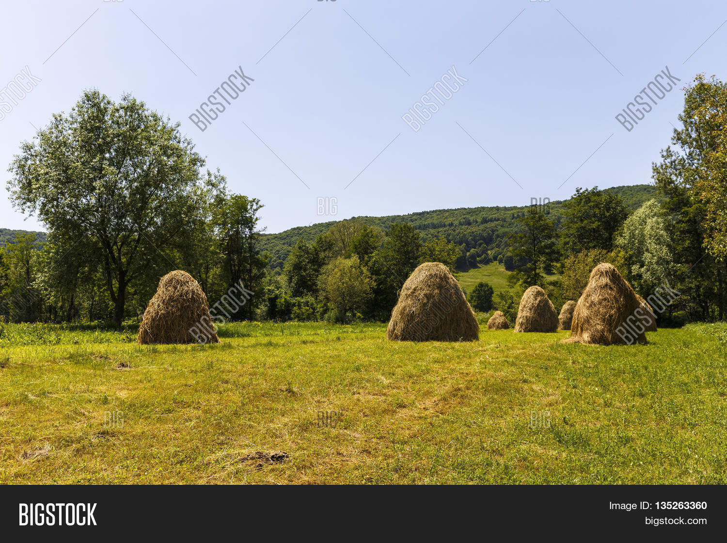 Haystacks On Beautiful Image & Photo (Free Trial) | Bigstock