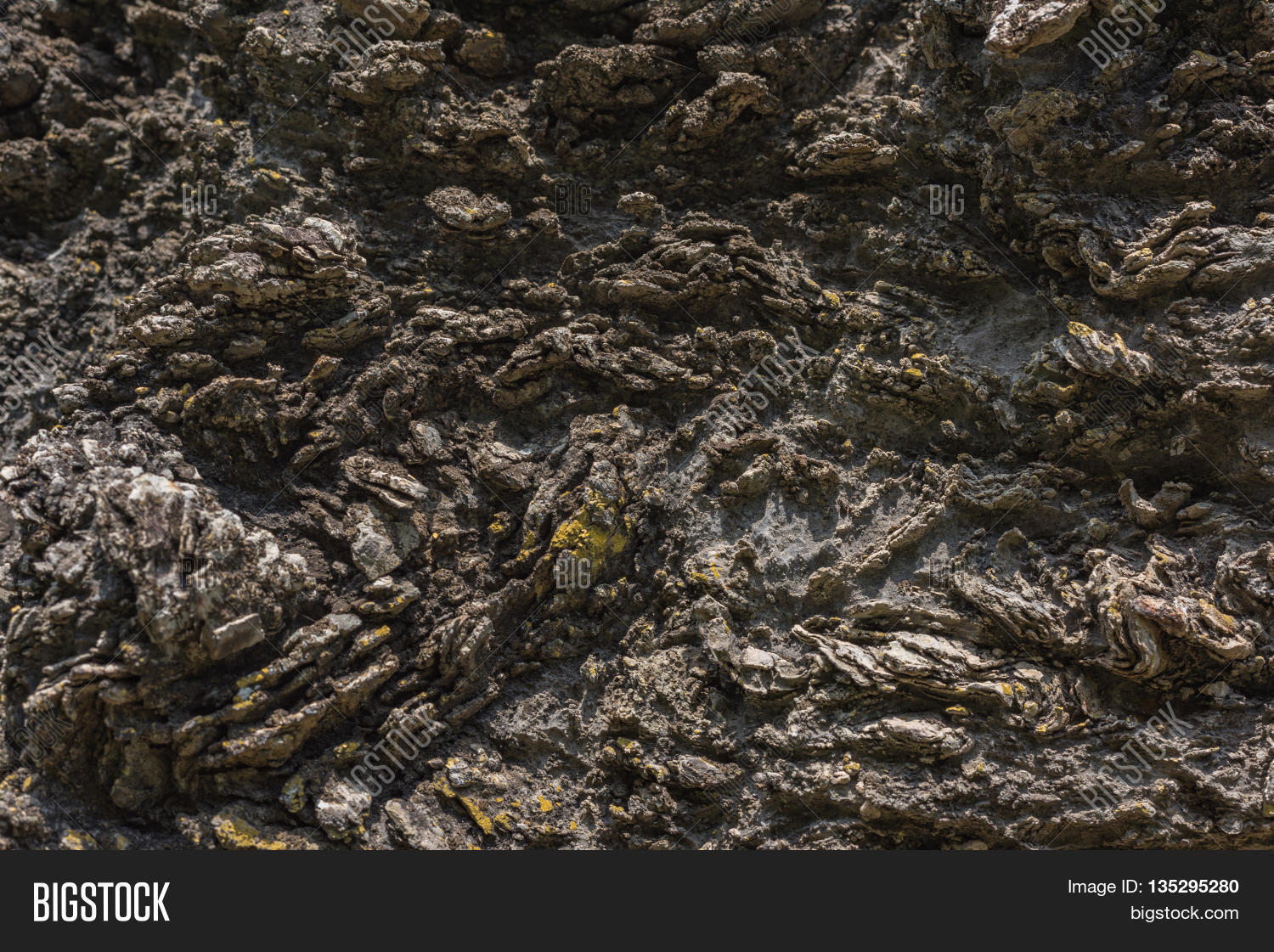 Texture Calc-silicate Image & Photo (Free Trial) | Bigstock