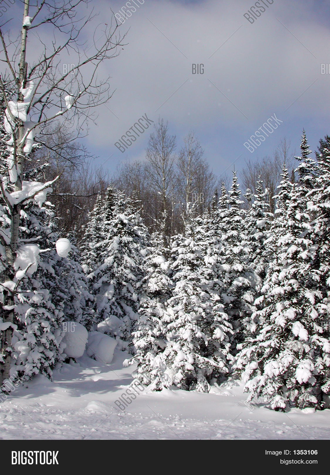 Upper Michigan Winter Image & Photo (Free Trial) | Bigstock