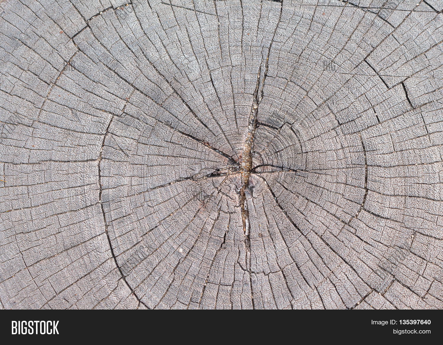 Cracked Wood Image & Photo (Free Trial) | Bigstock