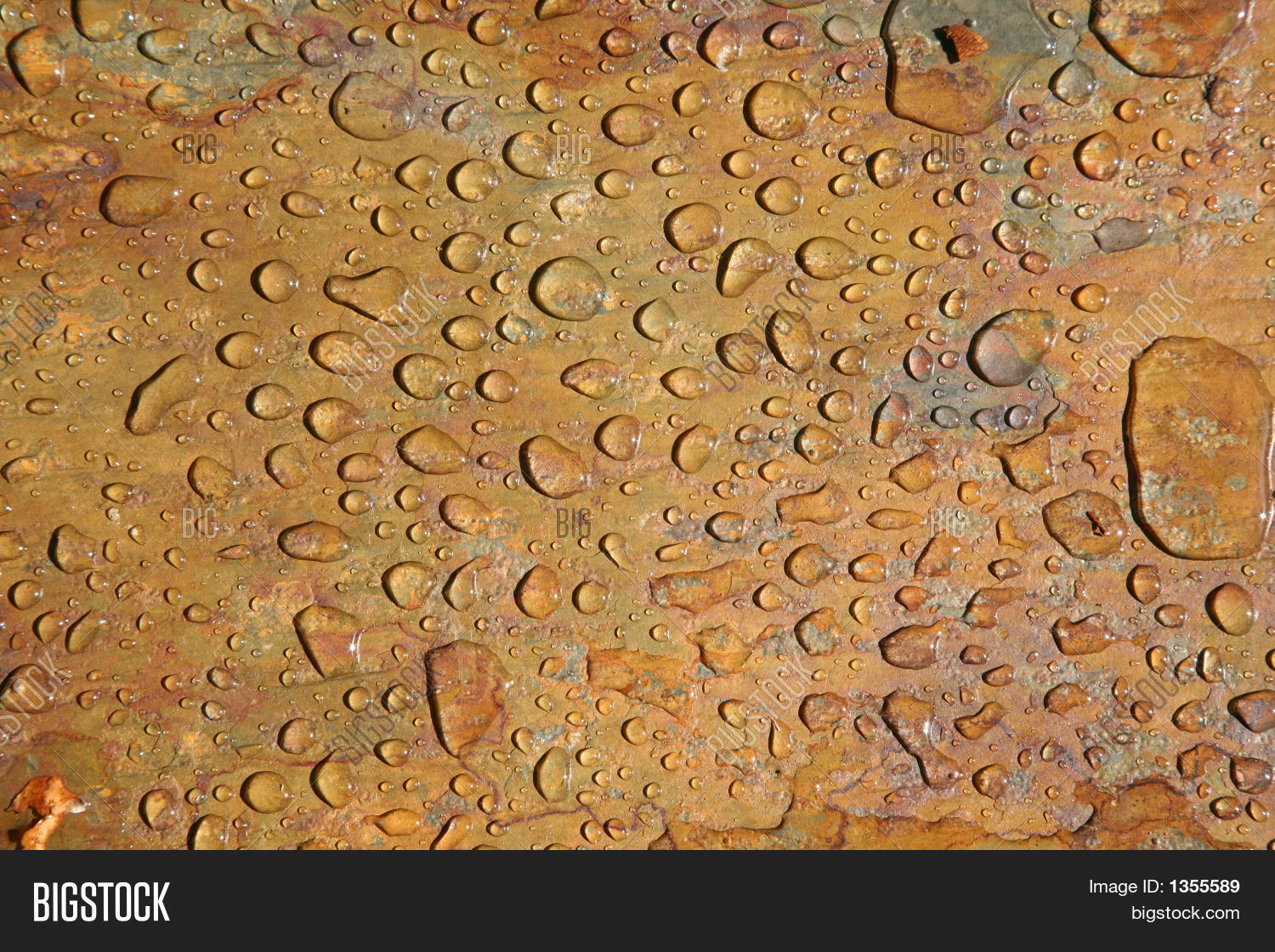 Water Drop On Slate Image & Photo (Free Trial) | Bigstock