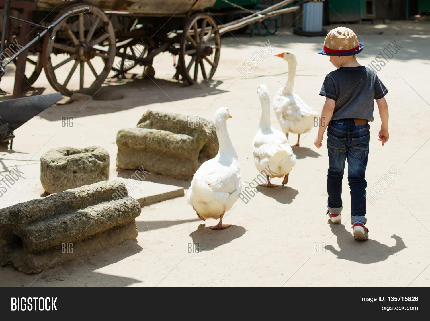 Child Playing Geese Image & Photo (Free Trial) | Bigstock