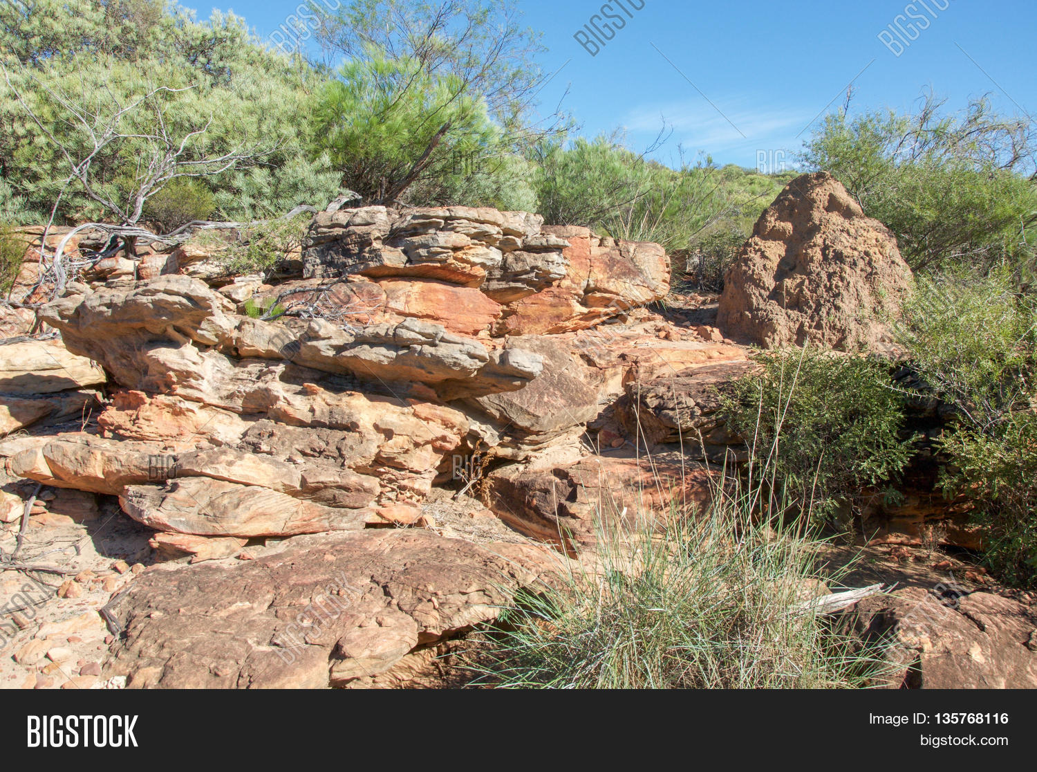 Termite Mound Rugged Image & Photo (Free Trial) | Bigstock