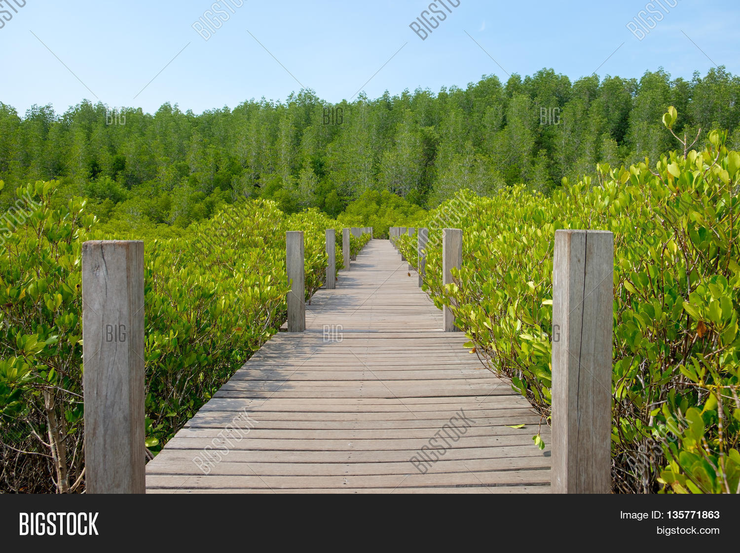 Wooden Walkway Bridge Image & Photo (Free Trial) | Bigstock