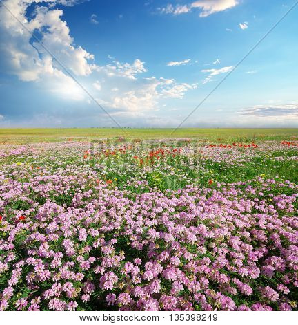 Spring Flowers Meadow Image & Photo (Free Trial) | Bigstock