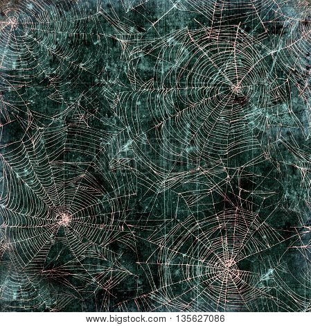 Spider Web Background Image & Photo (Free Trial) | Bigstock