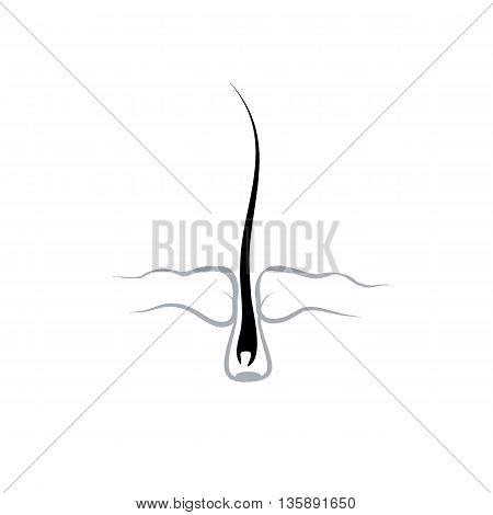 Hair Bulb Structure Vector & Photo (Free Trial) | Bigstock
