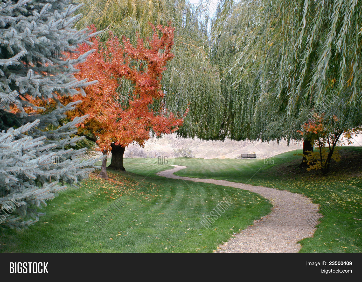 Park Walking Path Image & Photo (Free Trial) | Bigstock