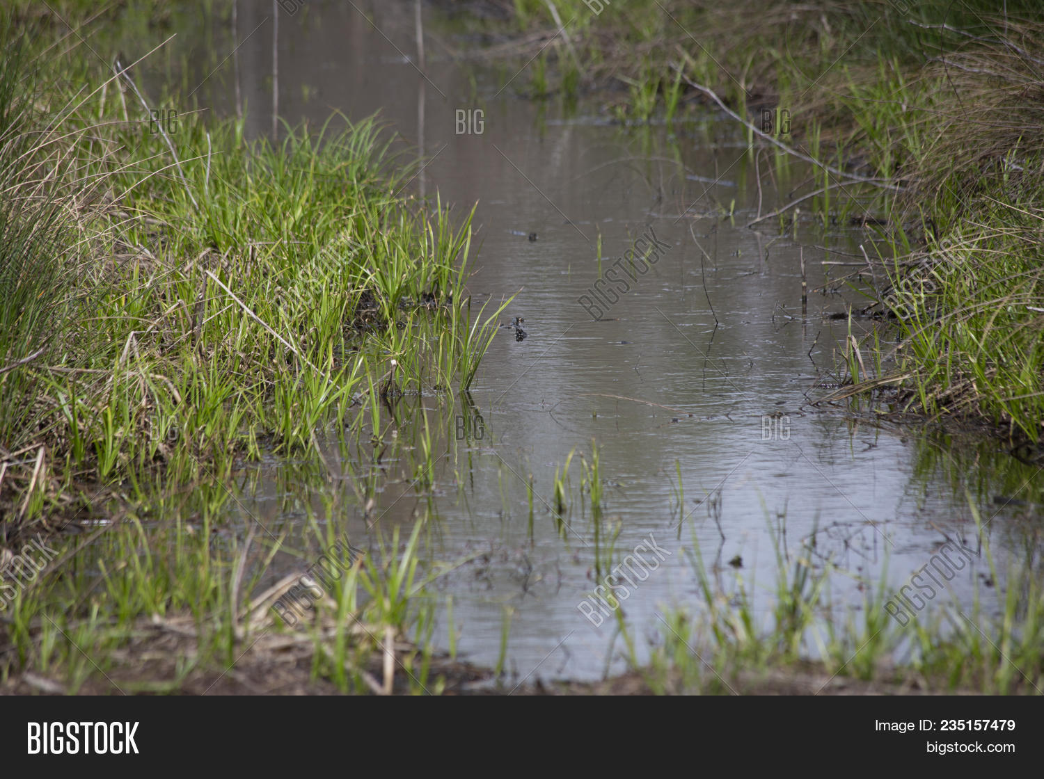 Small, Narrow Water Image & Photo (Free Trial) | Bigstock