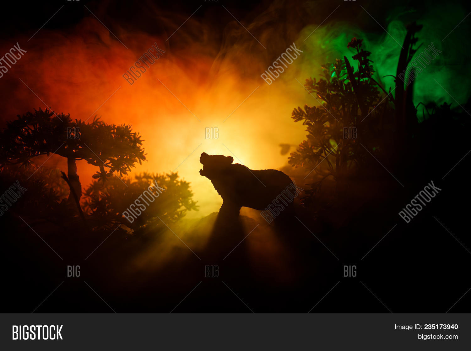 Angry Bear Behind Fire Image & Photo (Free Trial) | Bigstock