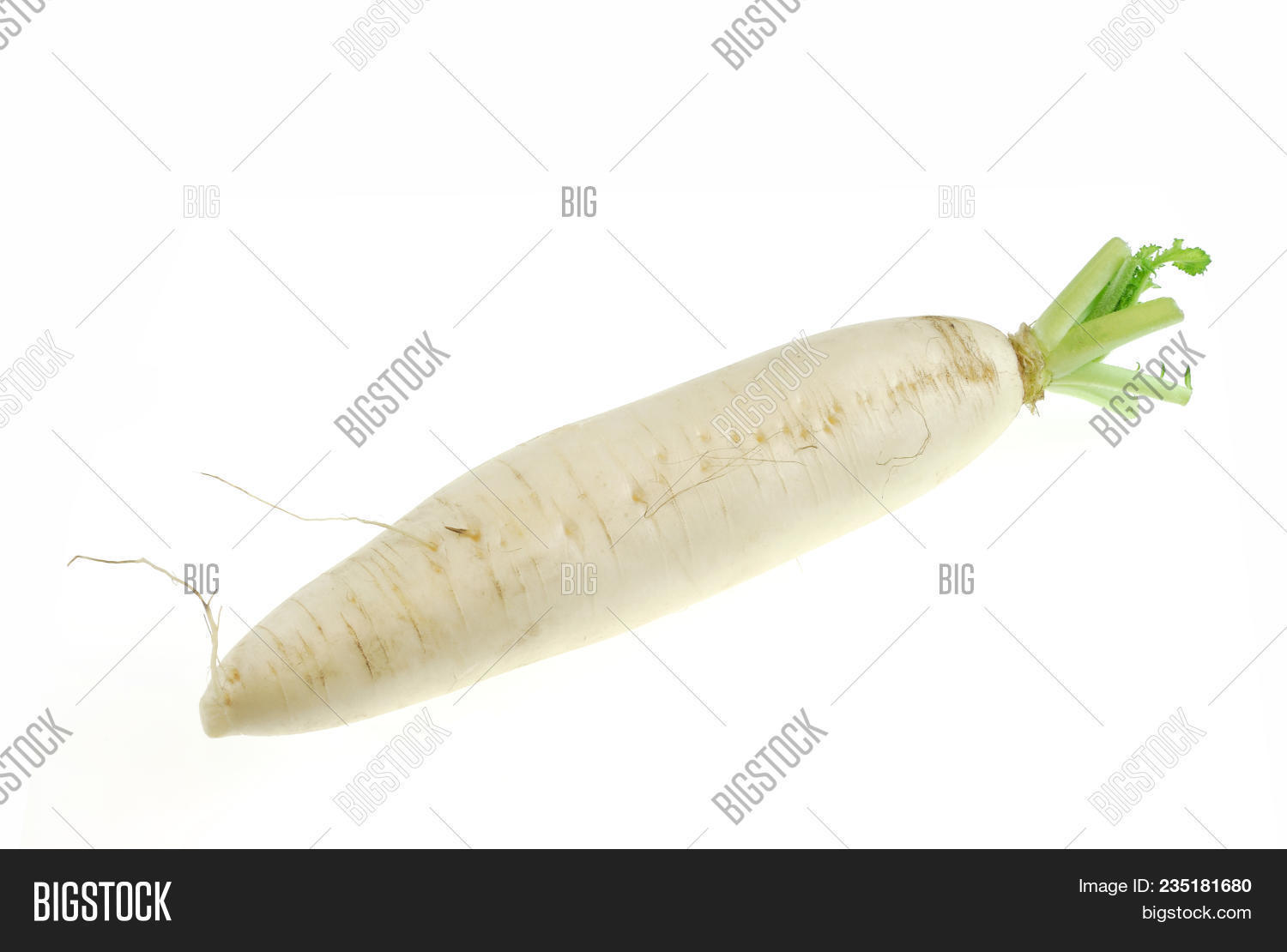 Raw White Radish Image & Photo (Free Trial) | Bigstock