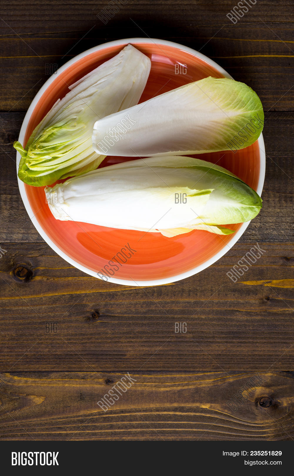 Chicory Fresh Salad. Image & Photo (Free Trial) | Bigstock